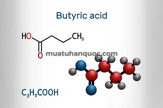 사자코리아 - (Q&A) AXIT BUTYRIC CÓ PHẢI LÀ VI KHUẨN CÓ HẠI?
